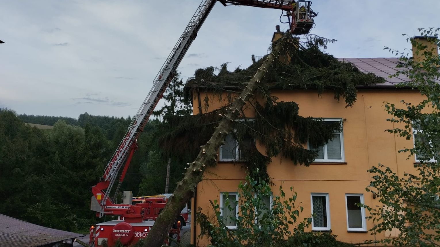 Burze na Podkarpaciu. Zerwane linie energetyczne, uszkodzone dachy [ZDJĘCIA]